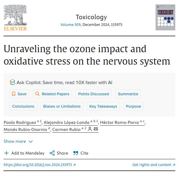 The Hidden Danger: How Ozone Affects Our Nervous System – Neuropsicolocos